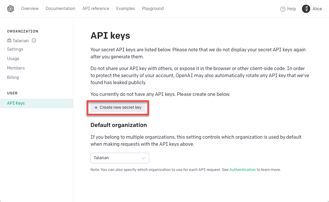 Create An OpenAI API Key GPT For Work Documentation